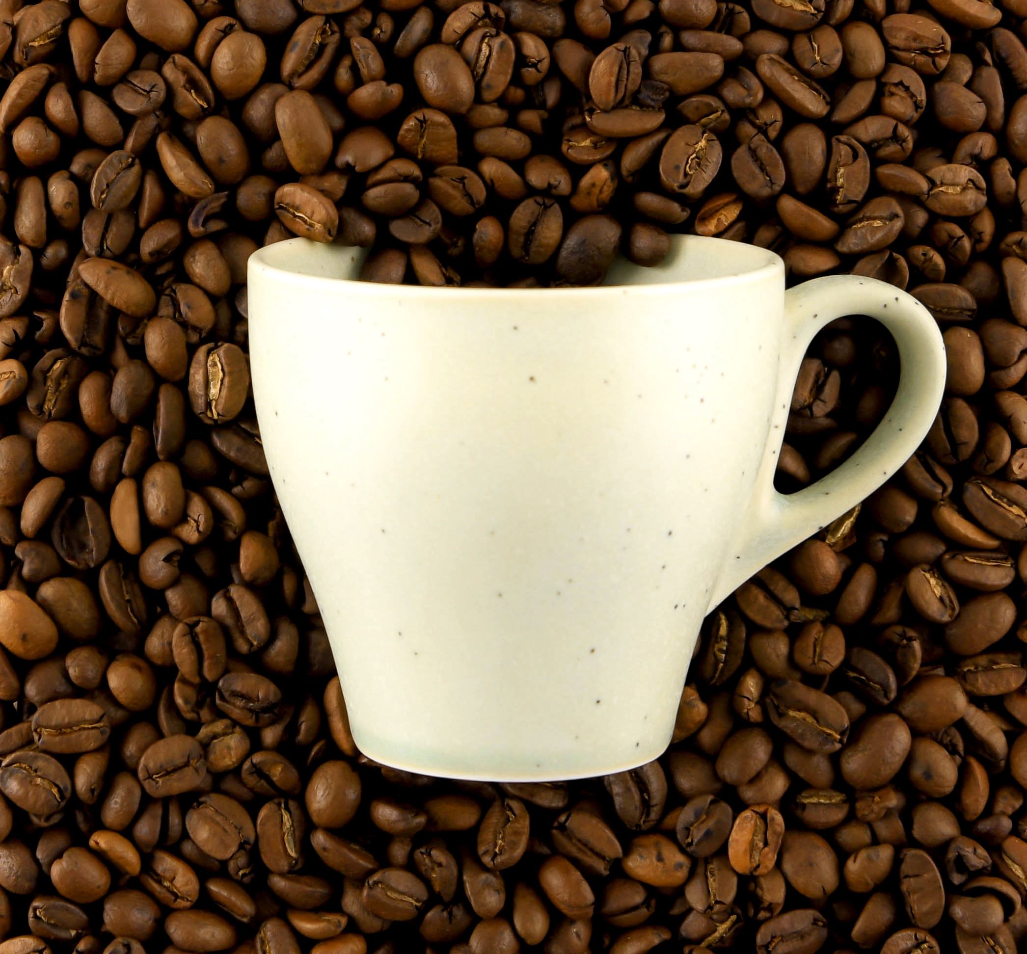 Hotel Agencies | Restaurant & Catering Supplies Since 1947